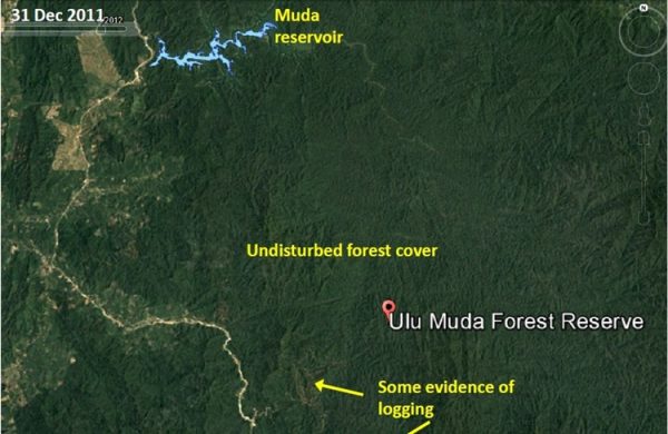 Satellite images show more forests being logged in Ulu Muda | anilnetto.com